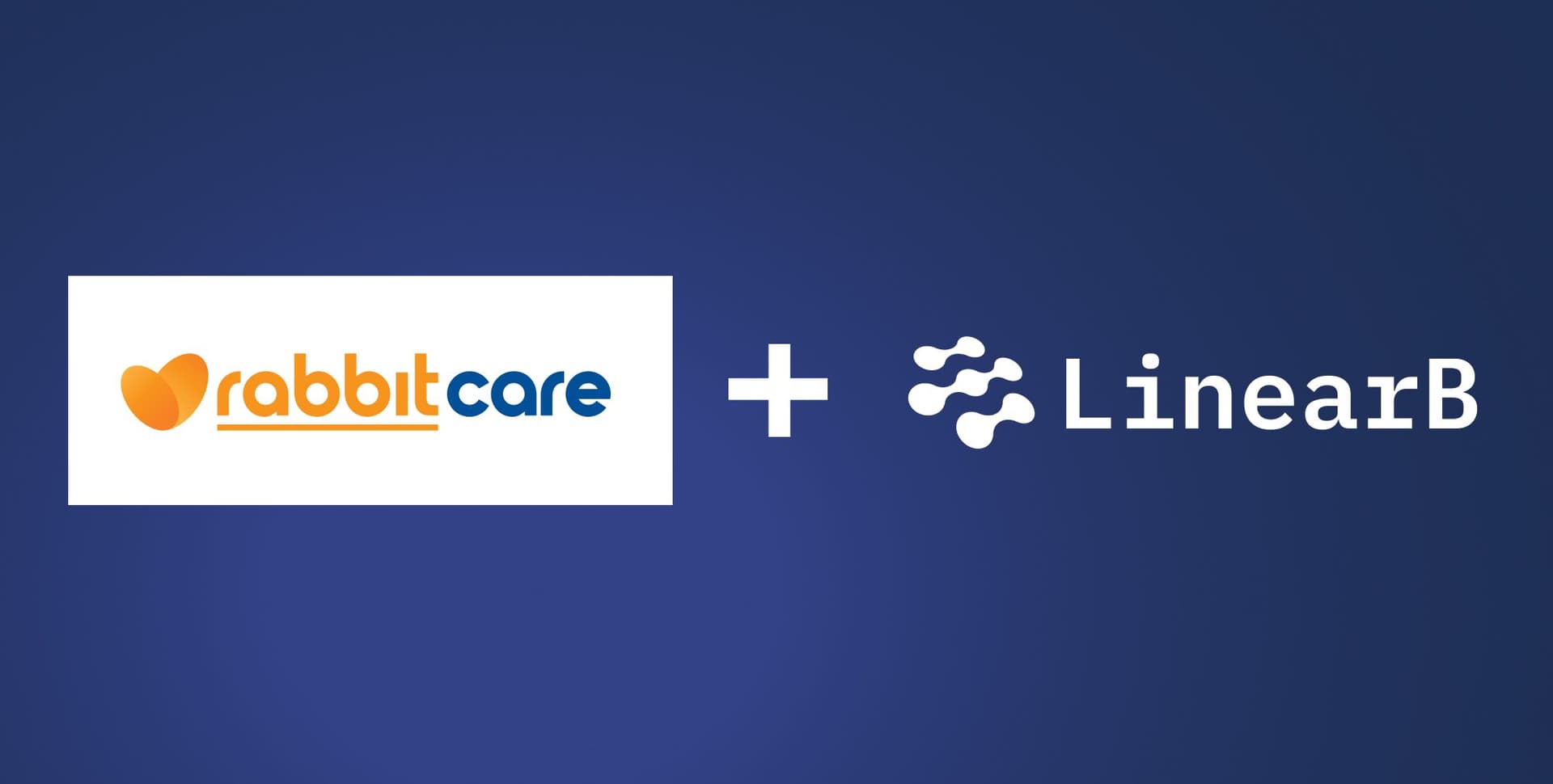 How Rabbit Care Used LinearB to Build a Culture of Transparency While ...