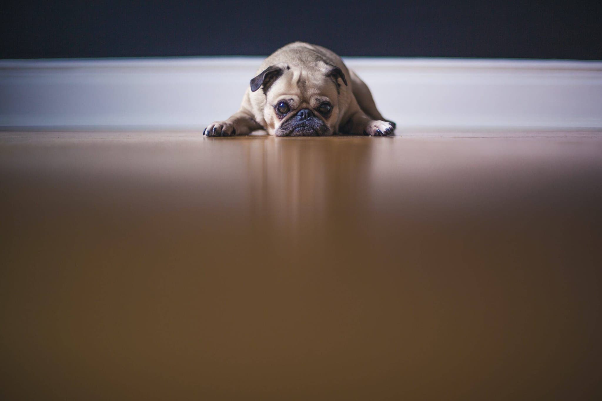 Code Smells What Are They And How Can I Prevent Them Linearb Blog